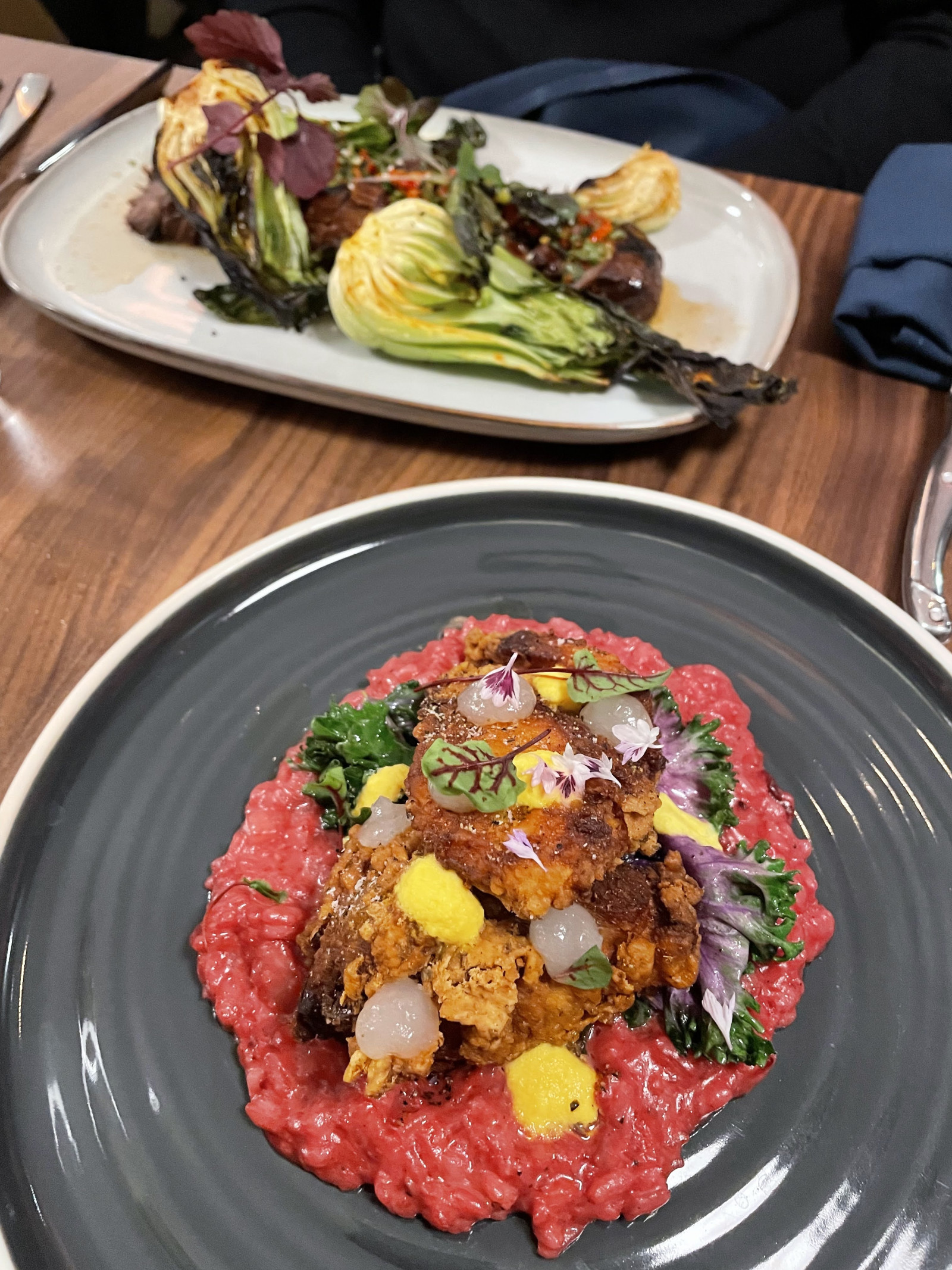 Loqui - Saskatoon Newbies